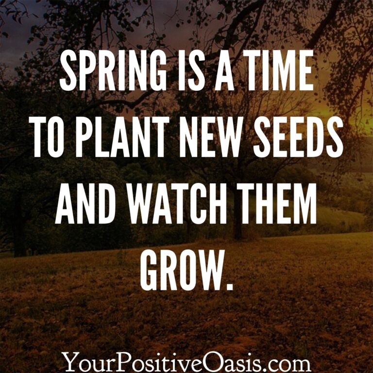 50 Spring Quotes That Will Brighten Your Day